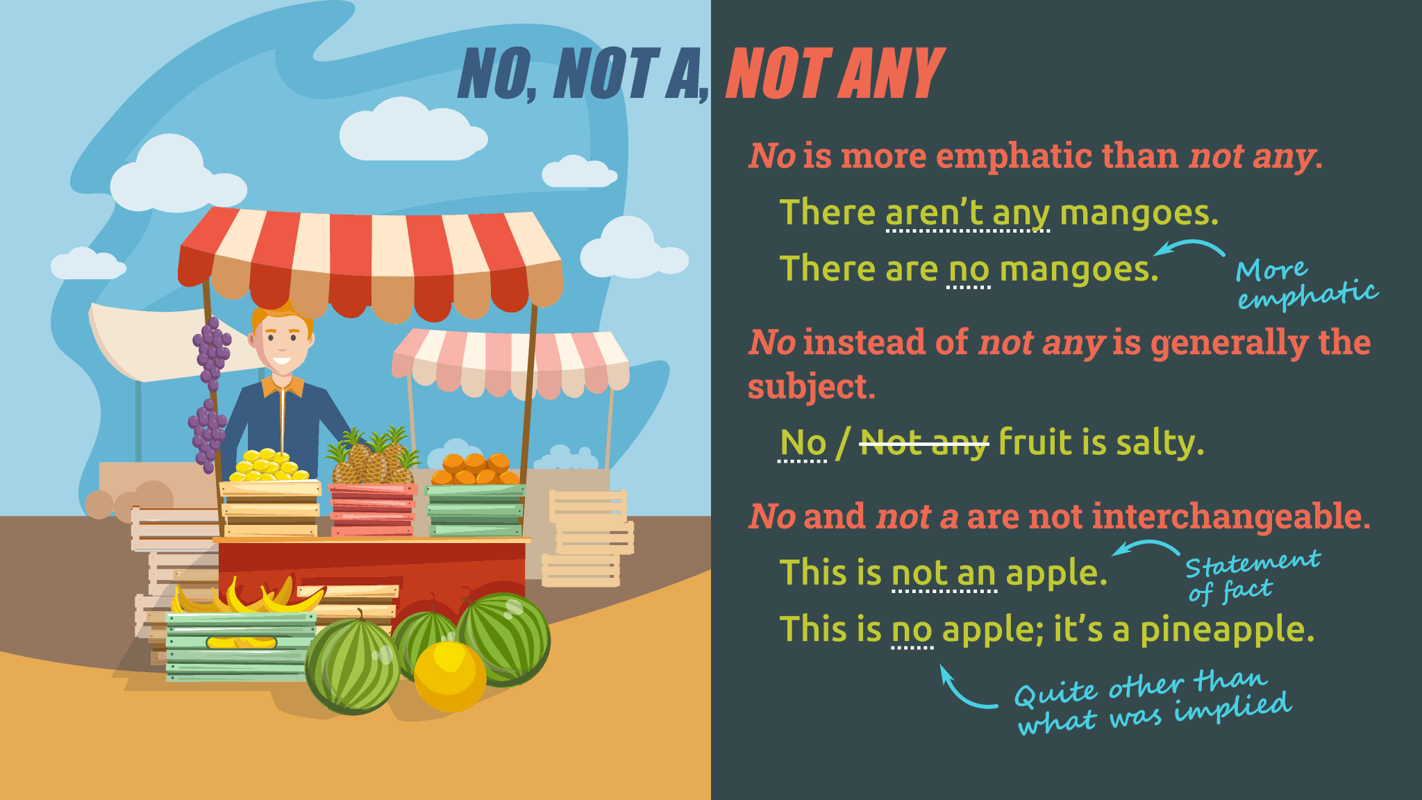 No, Not A, Not Any: How to Use Correctly | Editor’s Manual